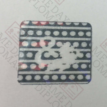 Realistic Diplomas & Transcript Makers | Same Day Diploma