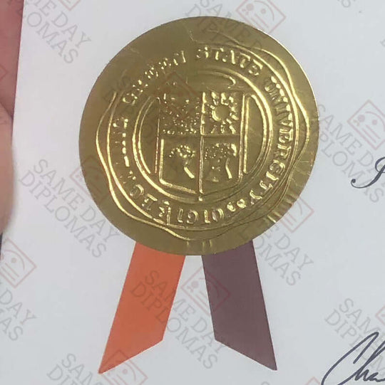 Realistic Diplomas & Transcript Makers | Same Day Diploma