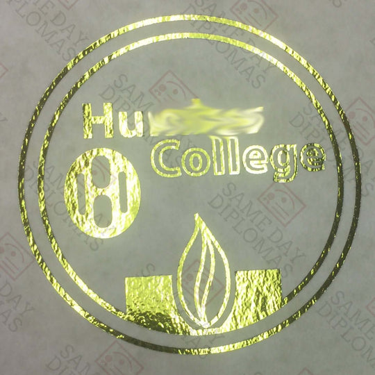 Realistic Diplomas & Transcript Makers | Same Day Diploma